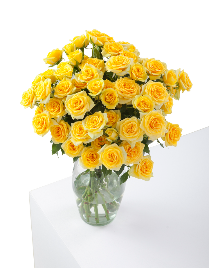 Spray Roses – Rosaprima Ecuador