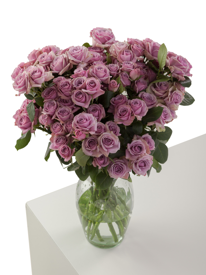 Spray Roses – Rosaprima Ecuador