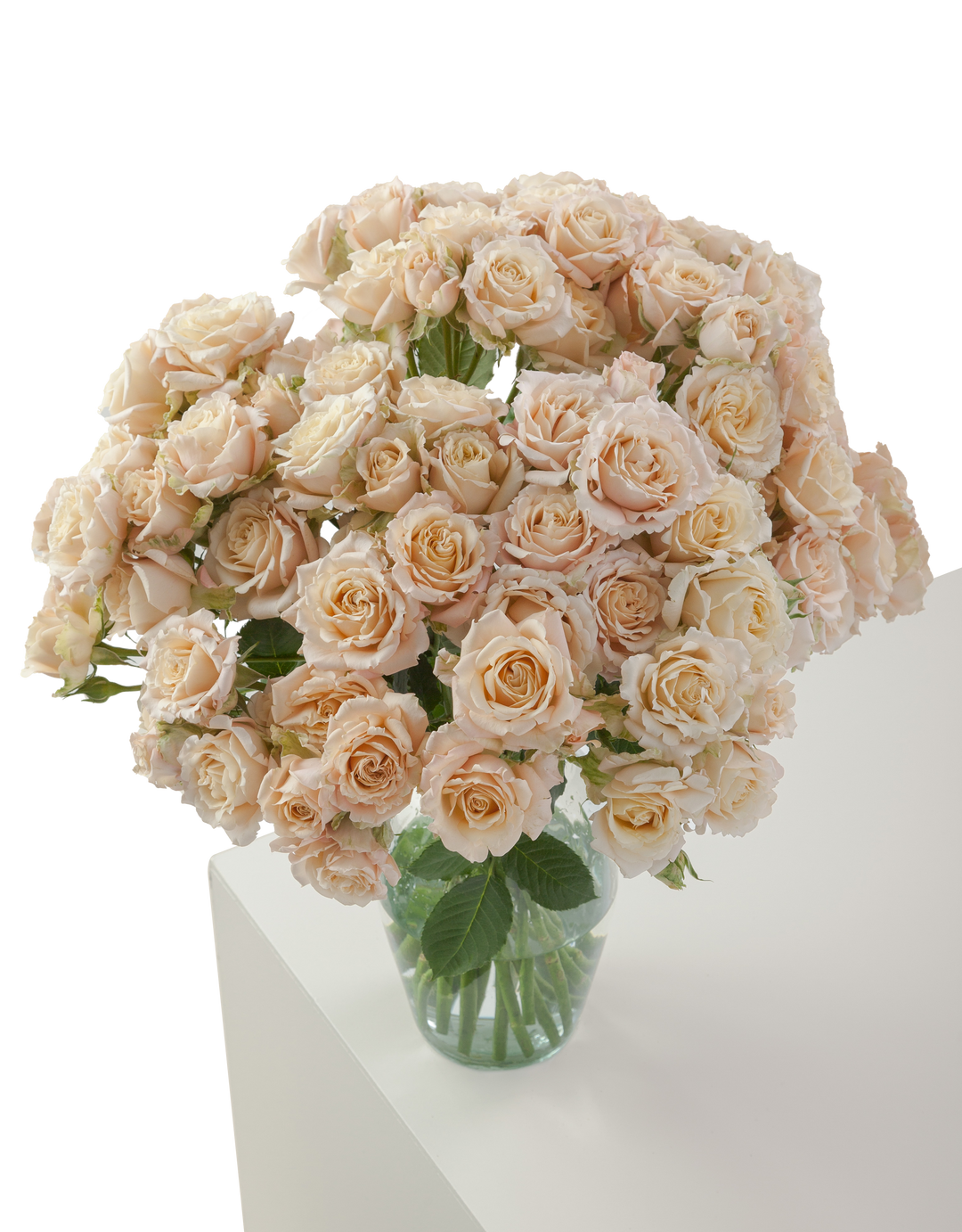 Spray Roses – Rosaprima Ecuador