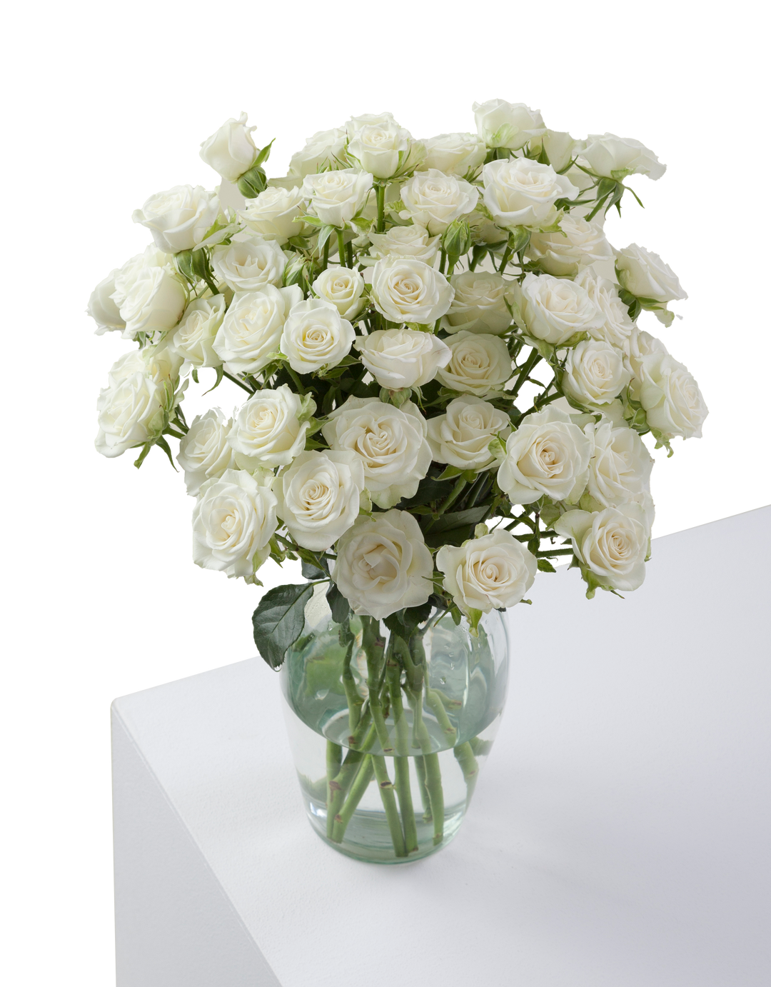 Spray Roses – Rosaprima Ecuador